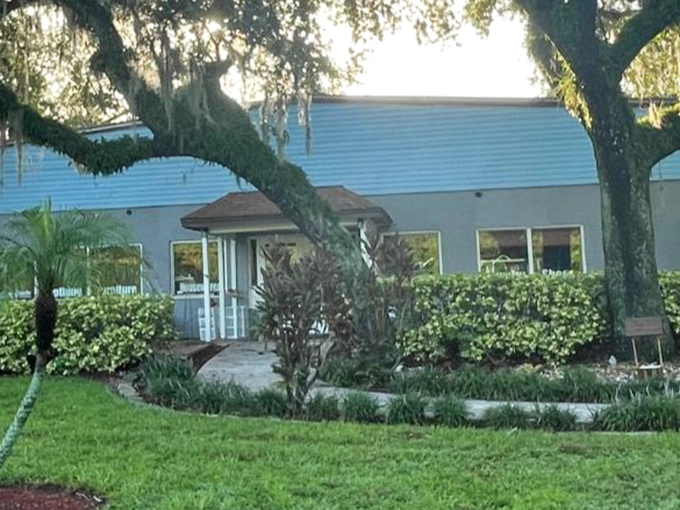 Morning light filters through ancient oaks, highlighting the thrift store's inviting entrance. A peaceful setting for the treasure hunt that awaits.
