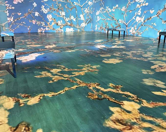 Step into this dreamy immersive space where cherry blossoms bloom overhead and the floor itself becomes part of the artistic journey.