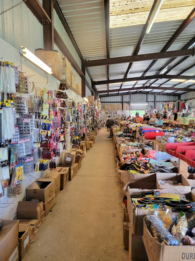 Cardboard boxes overflow with potential treasures, creating a gauntlet of gadgetry where one person's random stuff becomes another's can't-live-without discovery.