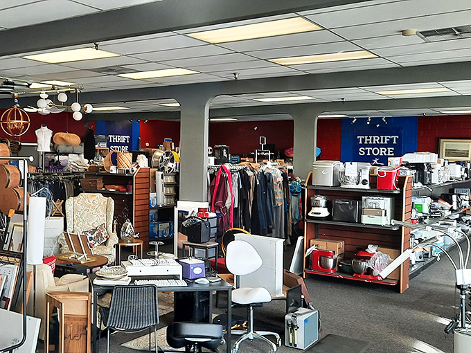 A retail wilderness where organization meets chaos. Red and blue walls frame this wonderland of possibilities waiting to be discovered.
