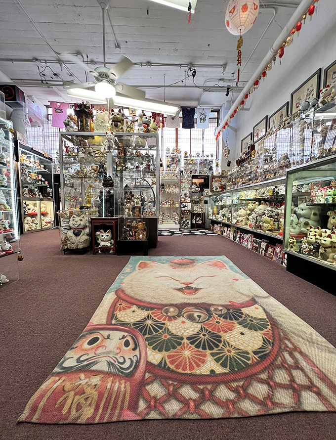 The centerpiece cat rug welcomes visitors like a feline red carpet, surrounded by display cases housing lucky cats from every corner of the world.