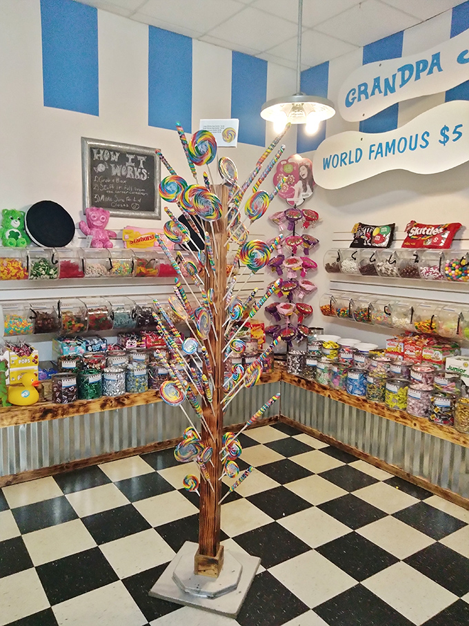 A lollipop tree stands sentinel among candy-filled jars, proving that the most magical forests aren't in fairy tales but in Ohio candy shops.