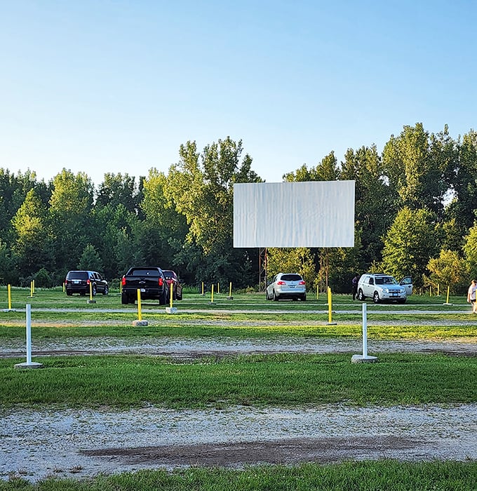 Nature provides the perfect backdrop for this massive screen, where trees frame cinematic adventures and stars twinkle both on and off screen.