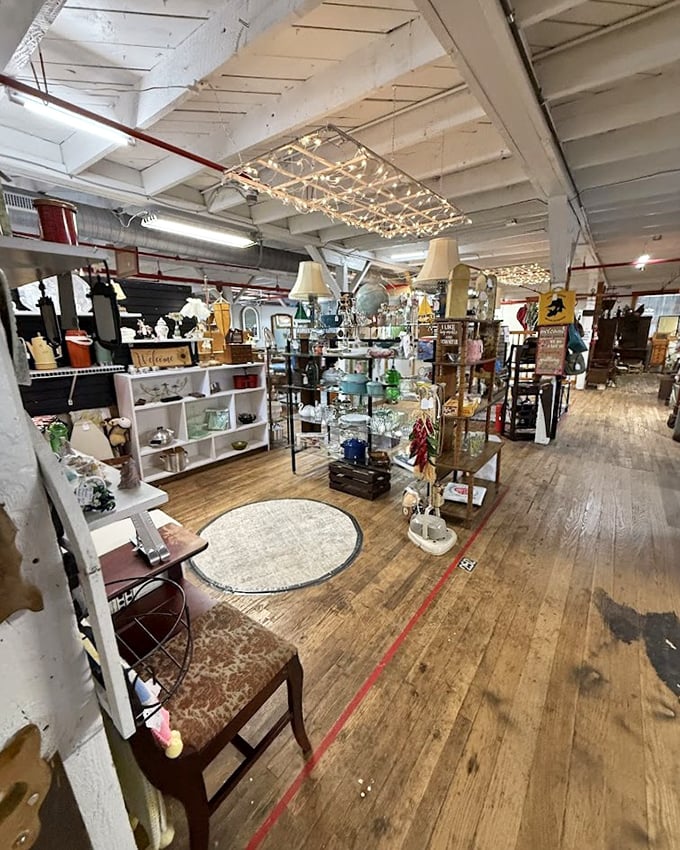 Sunlight dances across worn wooden floors while string lights add a magical glow to this treasure-filled wonderland of memories and possibilities.