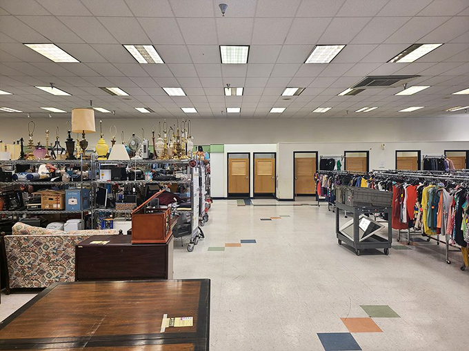 Wide aisles and thoughtful organization transform what could be chaotic into a pleasant treasure-hunting experience that keeps shoppers coming back.