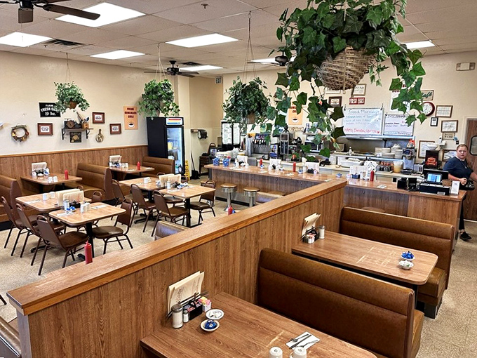 Classic diner aesthetics meet genuine comfort. Those hanging plants aren't just for show&mdash;they're witnesses to decades of perfect breakfast conversations and coffee refills.