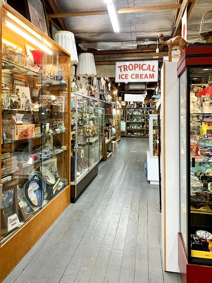 Walking these wooden floors is like strolling through a museum where everything's for sale. That "Tropical Ice Cream" sign? Pure California nostalgia.