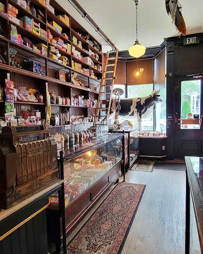 Floor-to-ceiling shelves create a candy lover's library, complete with sliding ladder. Willy Wonka would approve of this literary approach to confections.