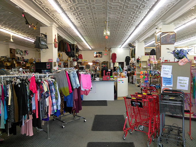 Inside, the thrifter's paradise unfolds with racks of possibility, red shopping carts standing ready for the inevitable "I can't believe I found this" moments.