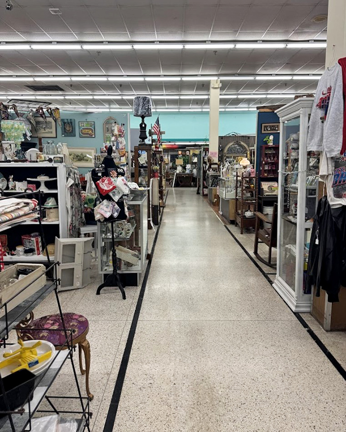 Long aisles of organized chaos beckon treasure hunters to explore. Every booth is its own universe of possibilities and forgotten memories.