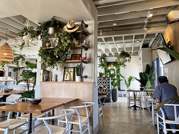 Step inside and you're transported to a botanical wonderland where hanging plants create a living canopy above minimalist furniture that whispers, "Stay awhile."