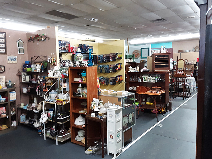 Every booth tells a different story, with chapters written in porcelain, wood, and memories waiting to be adopted.