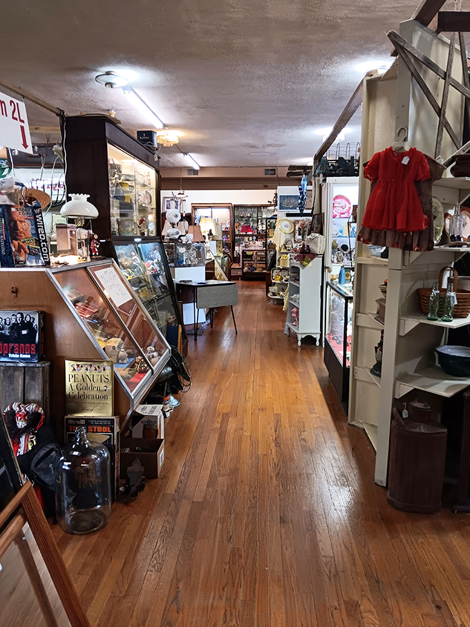 Wooden floors that whisper stories with each step, leading you down corridors where yesterday's ordinary becomes today's extraordinary find.