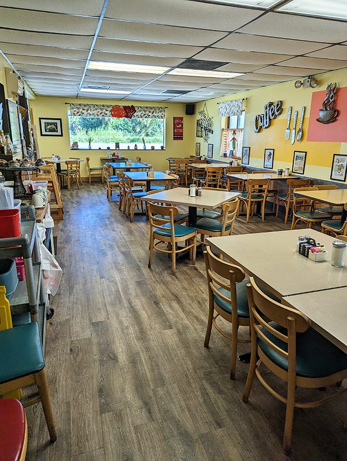 Cozy wooden chairs and cheerful yellow walls create that authentic diner atmosphere where memories are made and breakfast dreams come true.