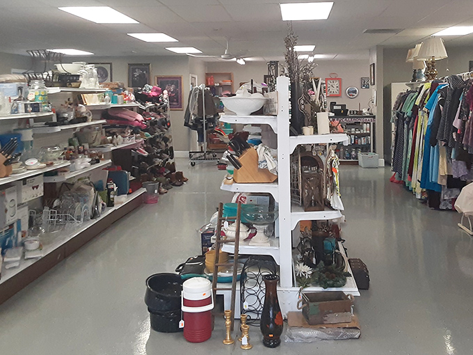 Simple wooden tables and fish-adorned walls create that perfect "I've discovered something special" atmosphere. The kind of place where calories don't count and seafood dreams come true.