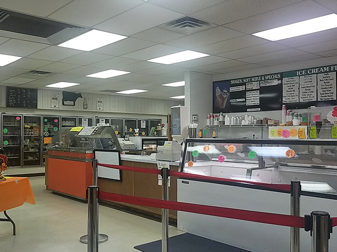 The classic dairy counter setup: where decisions are weighty, lines move quickly, and happiness is scooped, not found.
