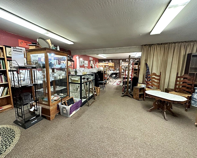 Step inside and discover a carefully organized wonderland where treasures await in glass cases and along well-arranged pathways.