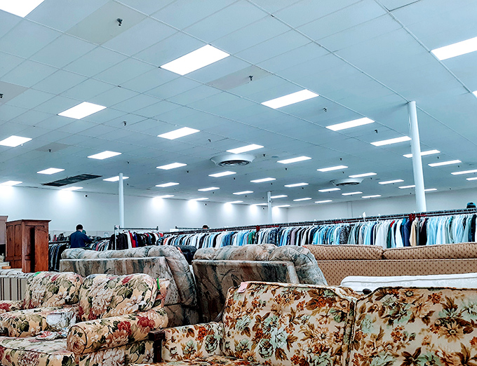 Furniture heaven stretches as far as the eye can see. Somewhere in this fluorescent-lit paradise is the perfect couch with stories to tell.
