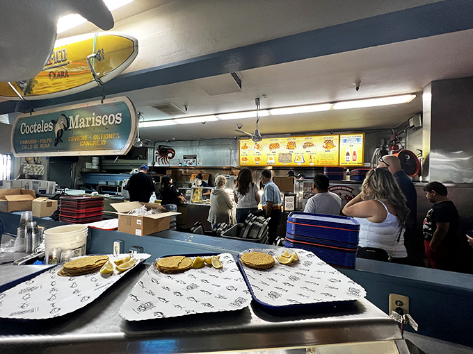 Where seafood dreams come true! The bustling counter scene is where the magic begins, as fresh catches transform into feasts.