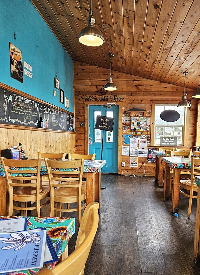 Wooden walls tell stories while turquoise accents pop like the ocean itself. This isn't interior design—it's coastal comfort perfected.