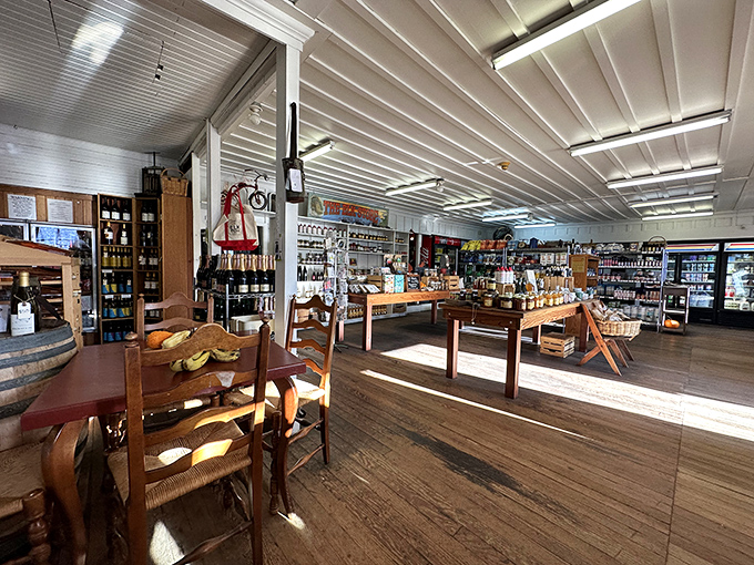 Sunlight dances across worn wooden floors while shelves brim with essentials and delights&mdash;the perfect marriage of practicality and unexpected pleasure.