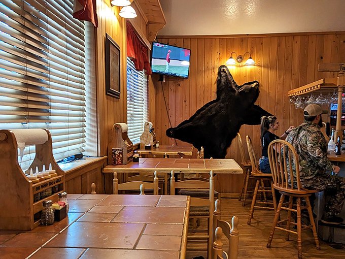 Where hunting lodge meets comfort food paradise. That mounted boar isn't just decoration&mdash;it's a promise of the primal satisfaction awaiting your taste buds.