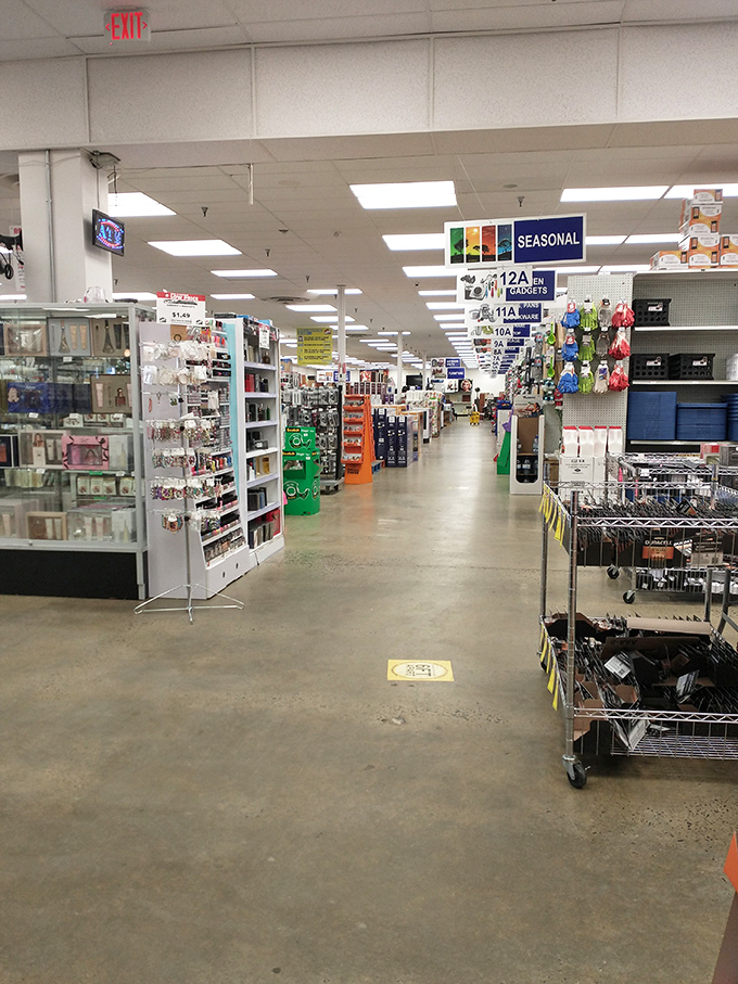 Endless aisles stretch toward retail infinity, each one a different chapter in the bargain hunter's handbook. The concrete floors have witnessed countless "eureka" moments.