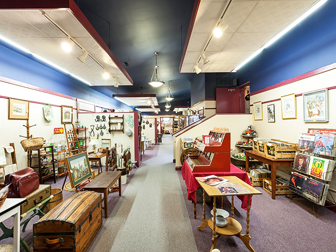 Blue walls and red trim create a gallery-like atmosphere where every turn reveals another collector's passion project. It's like walking through a museum where you can actually touch things! 