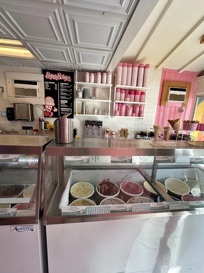 Behind the counter, pink cups stand at attention while the display case showcases creamy treasures waiting to cool down overheated Floridians and visitors alike.