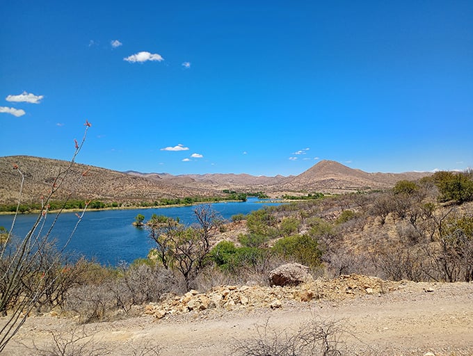The desert's mirage that actually delivers. Those mountains aren't just for looking&mdash;they're the perfect backdrop for your next "I can't believe this is Arizona" moment.