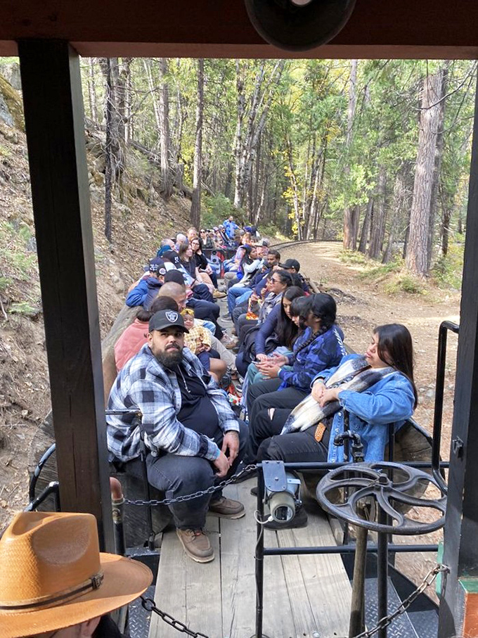 All aboard the memory maker! Passengers soak in forest views from open-air logger cars, where every seat offers nature's premium IMAX experience.