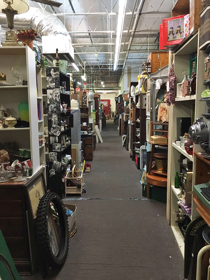 Endless aisles of possibility stretch before you like a time-traveling department store where every decade has sent its most interesting representatives.