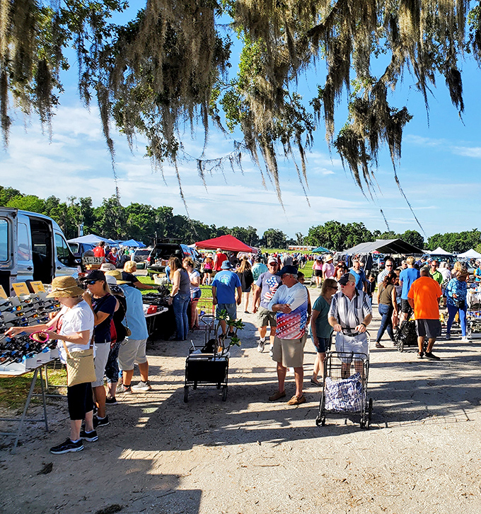 Spanish moss dangles like nature's own price tags above the market, where shopping carts and comfortable shoes are the vehicles of choice.