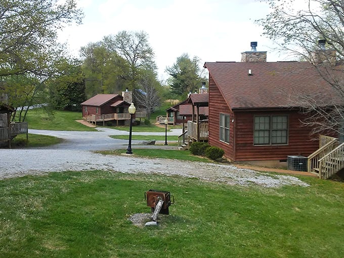 Cozy cabins nestled among rolling hills prove that Illinois knows how to do rustic elegance right.