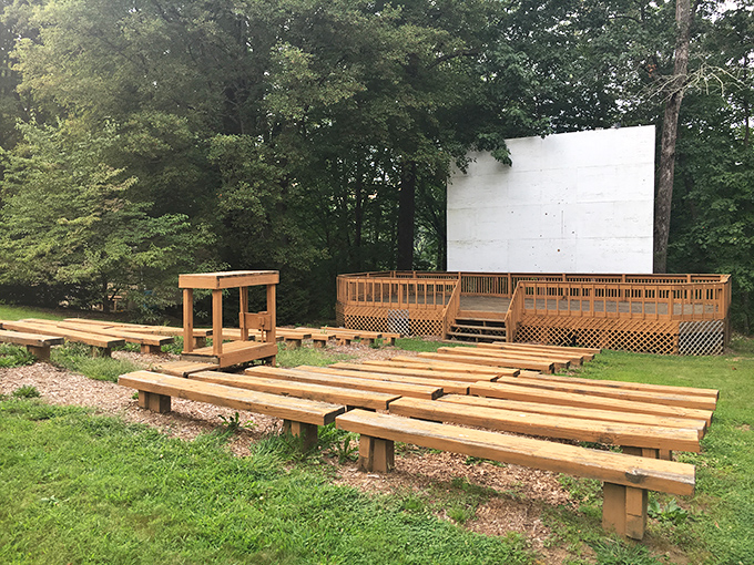 Movie night under the stars gets a rustic upgrade with this charming woodland amphitheater. Nature provides the surround sound. 