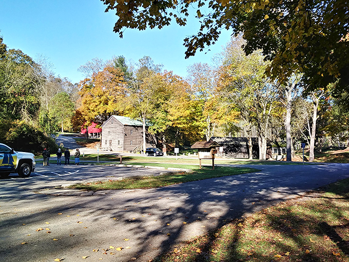 These grounds prove that sometimes the best landscaping is just letting nature be the boss.