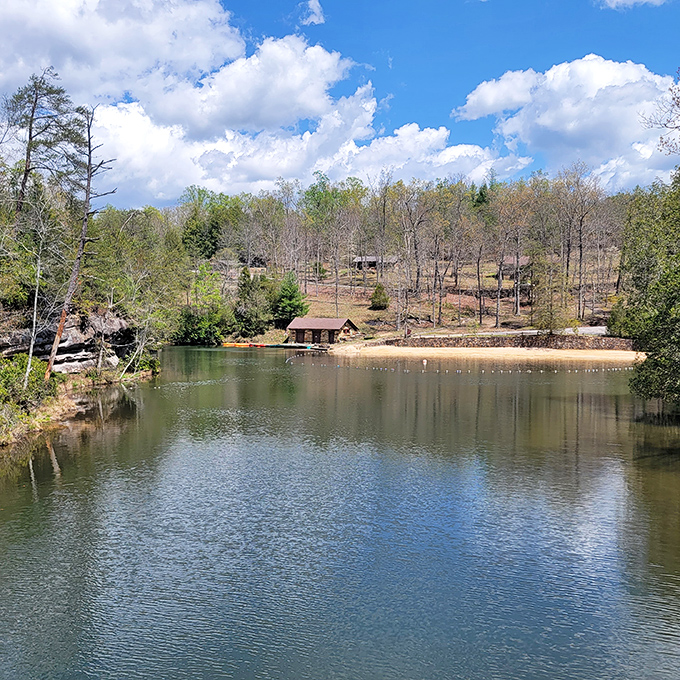 Sometimes the best views require absolutely zero effort &ndash; just eyes willing to appreciate genuine beauty.