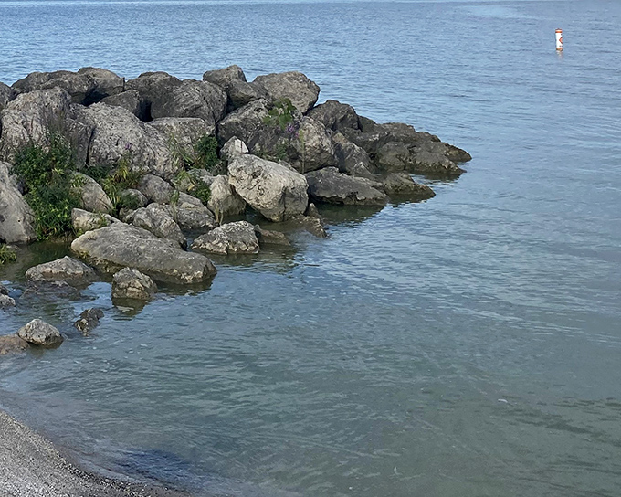 These limestone guardians have been protecting the shoreline longer than most of us have been alive.