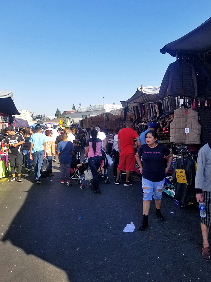 Treasure hunters navigate the bustling aisles where every turn promises new discoveries. The thrill of the hunt is written on every face.