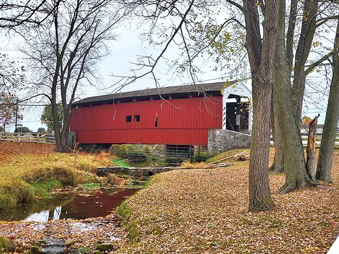 Like a crimson sentinel standing guard over the peaceful stream, the bridge's weathered boards tell stories of countless crossings through the seasons.