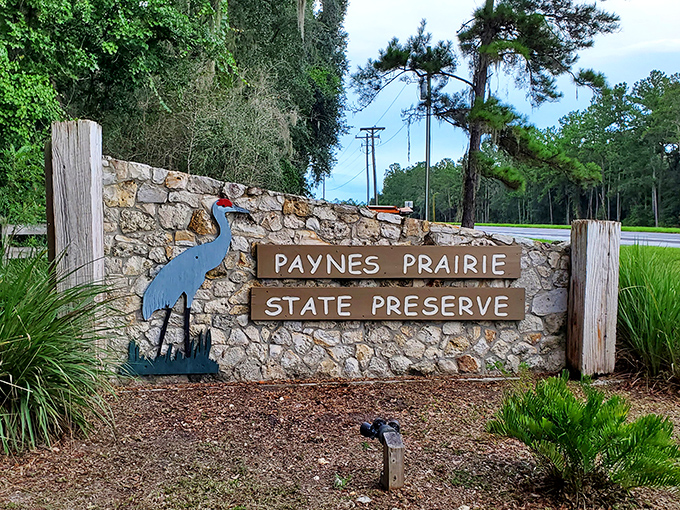 Nature's welcome sign, complete with a blue heron silhouette that says "Yes, we have spectacular birds here" without saying a word. 