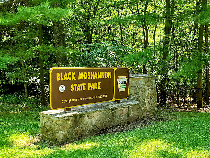 The classic brown park sign&mdash;nature's equivalent of a five-star hotel lobby, promising wilderness luxury without the turndown service.