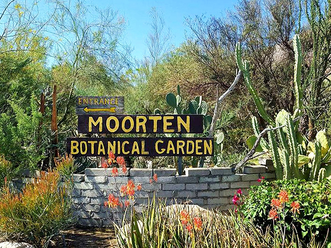 The entrance sign welcomes desert enthusiasts with a promise of prickly wonders ahead. Nature's version of "Abandon all cotton clothing, ye who enter here."