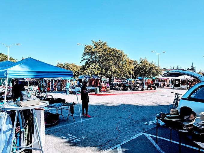 Under Berkeley's brilliant blue sky, a patchwork of colorful canopies creates an impromptu marketplace where one person's castoffs become another's treasures.