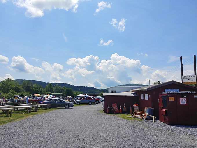 The Blue Ridge Mountains provide nature's perfect backdrop for treasure hunting, with rustic stalls dotting the gravel landscape like a frontier trading post.
