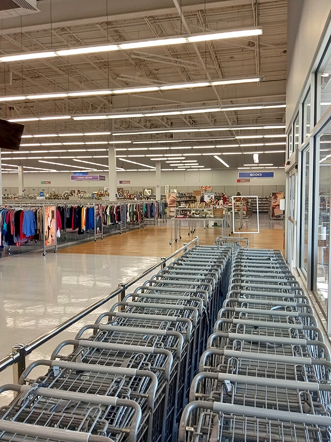 Shopping cart armada awaits its treasure-seeking captains. The gleaming floors and organized racks promise adventures in affordable retail therapy.