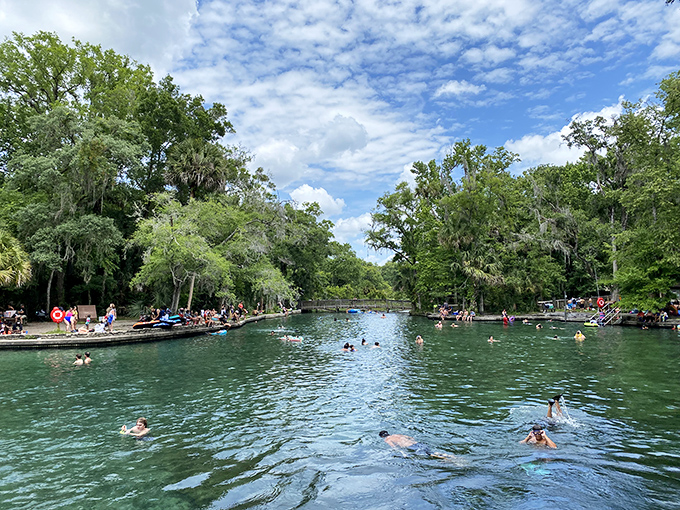 Florida's natural swimming pool puts chlorinated versions to shame. Crystal-clear spring water invites everyone to float their troubles away.