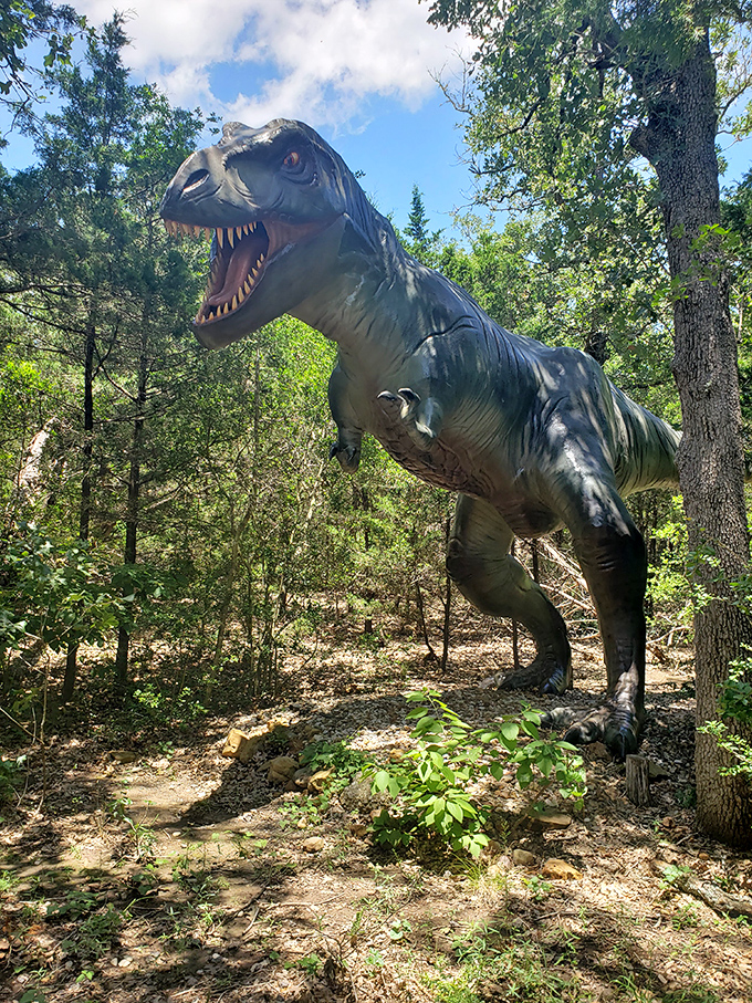 "I'm pretty sure he can't reach me from here..." The T-Rex, perfectly positioned among native Texas foliage, looks ready for his close-up.