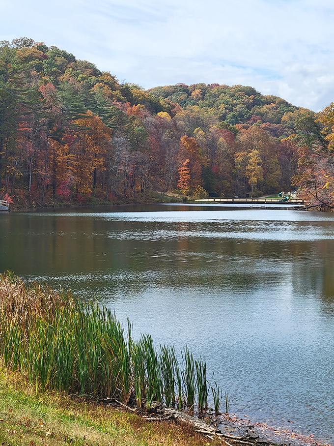 Where tranquility isn't just a buzzword. The still waters of Pine Lake offer a reflection so perfect, even narcissists would approve.