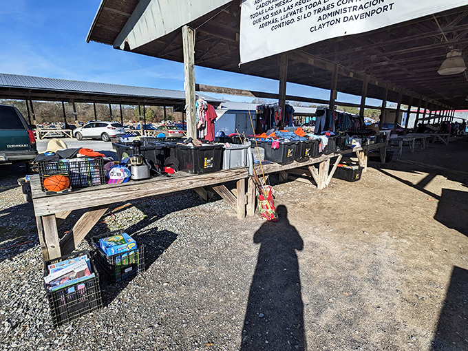 Under open-air pavilions, vendors display their wares on rustic wooden tables. The shadow knows&mdash;this is where the outdoor bargain hunting begins!